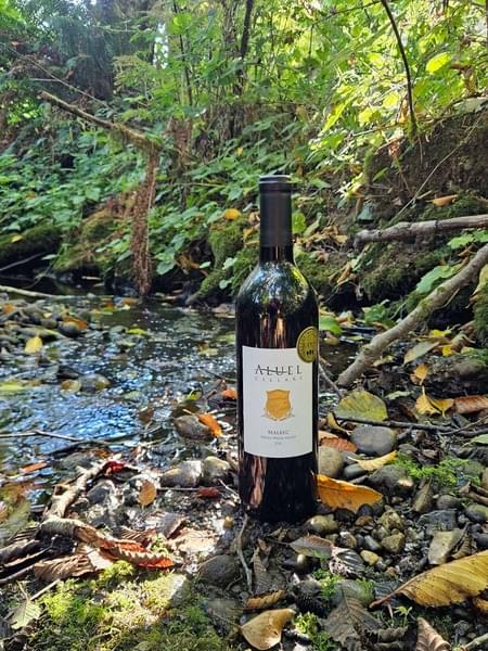2021 Malbec from Aluel Cellars | Vinoshipper