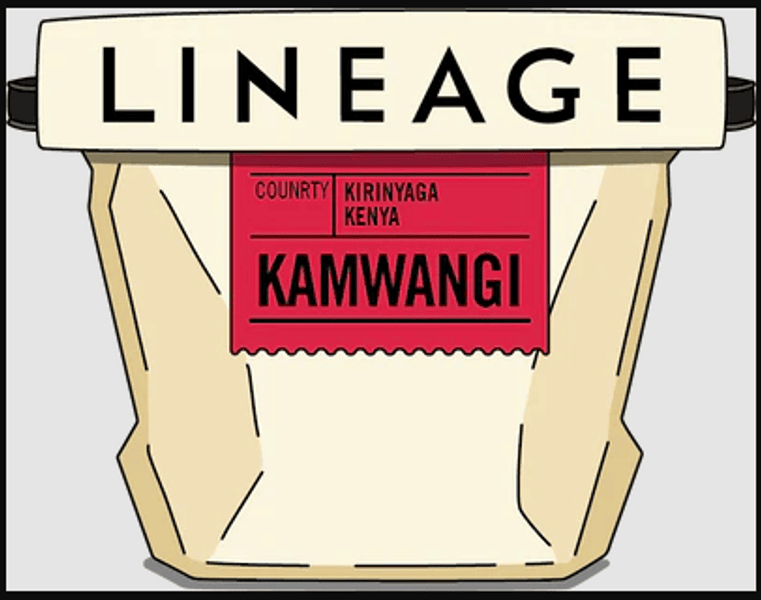 Kenya, Kamwangi AA Coffee Beans - Lineage from Zymarium Meadery ...